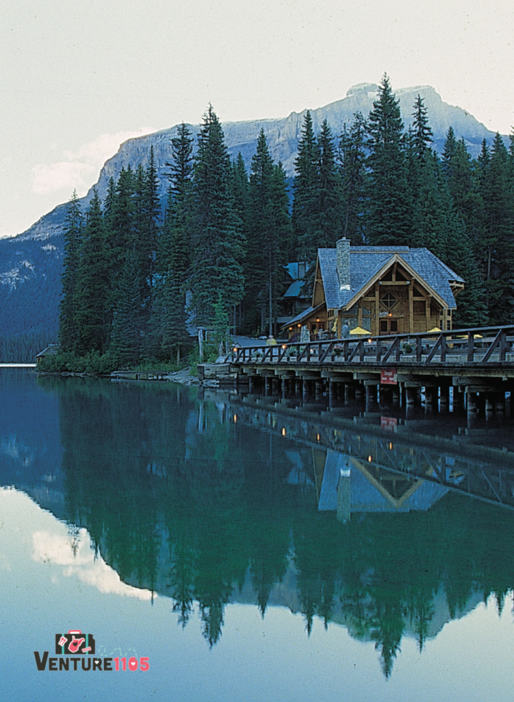 5 Reasons To Live Off Grid - Venture1105